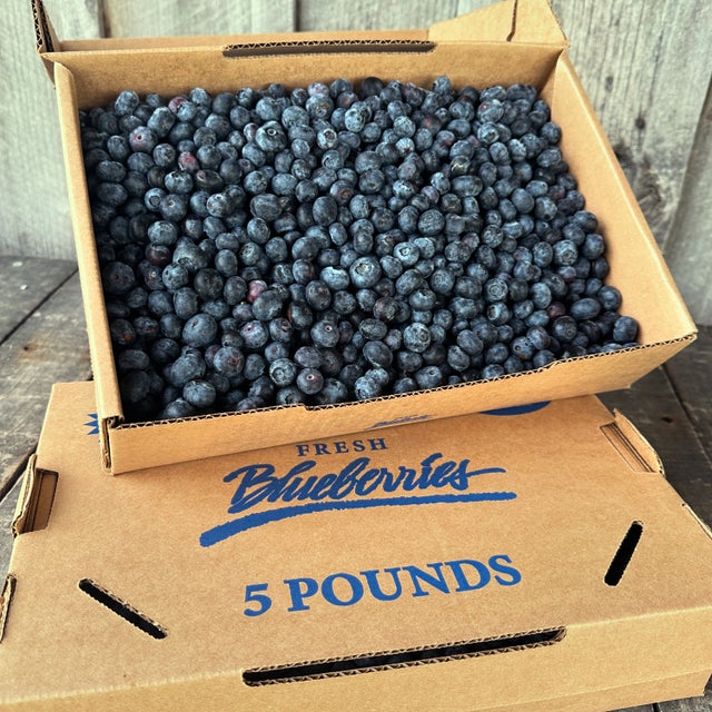 Pre-Order 5lb Box of Blueberries: Pick-Up in July