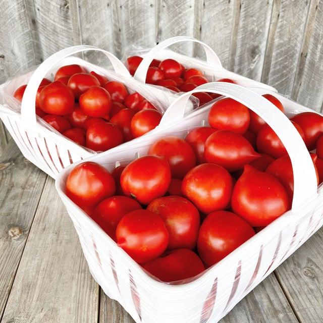 Pre-Order a Half Bushel of Homegrown Tomatoes: Pick-Up in August