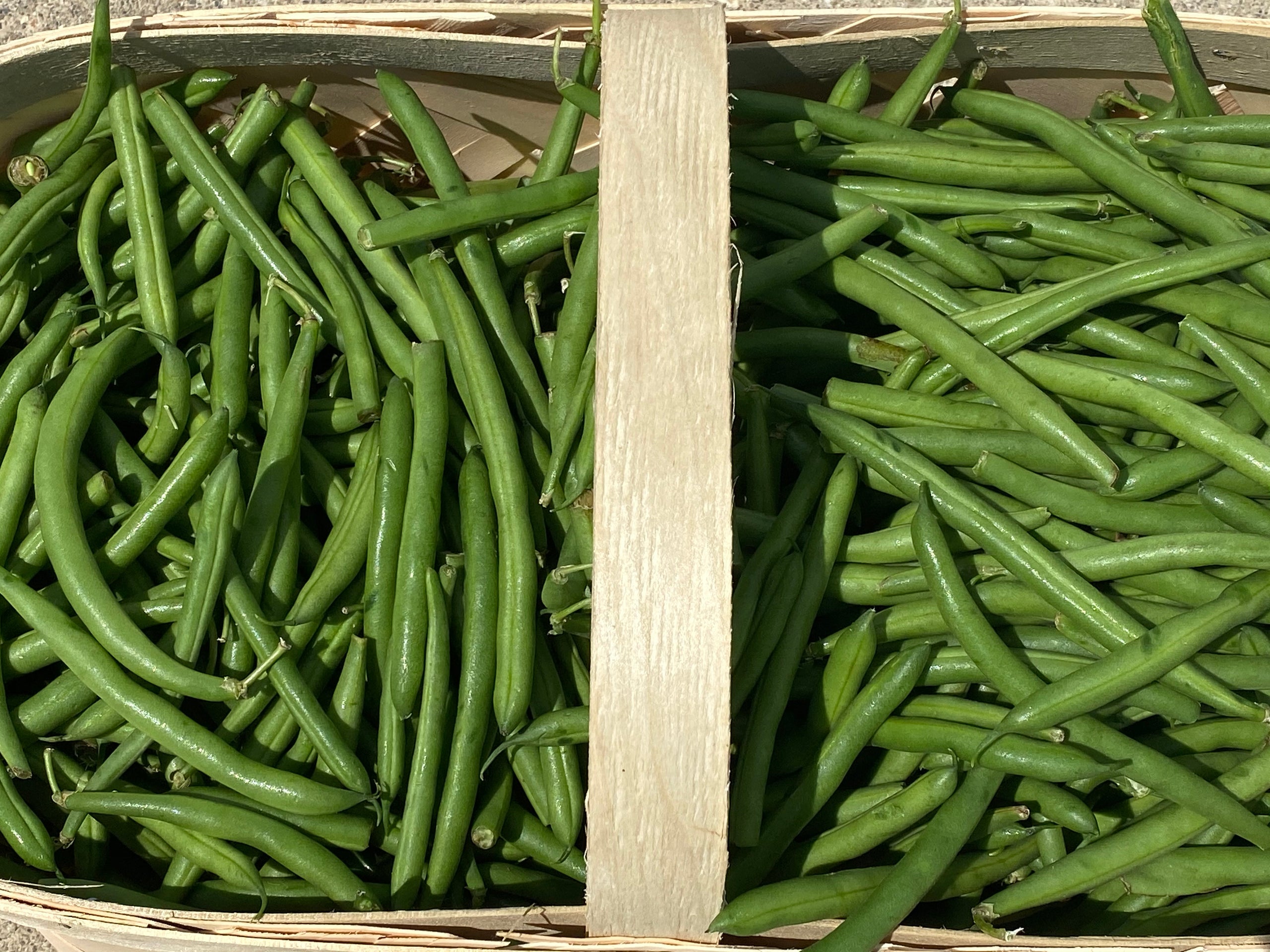 Pre-Order a Bushel of Indiana Green Beans: Pick-Up in July | Beasley's ...